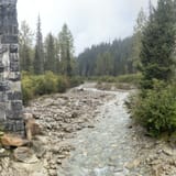 Loop Brook Trail, British Columbia, Canada - 251 Reviews, Map | AllTrails