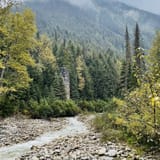 Loop Brook Trail, British Columbia, Canada - 251 Reviews, Map | AllTrails