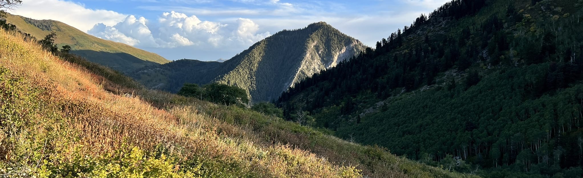 Provo Peak from Slate Canyon, Utah - 53 Reviews, Map | AllTrails