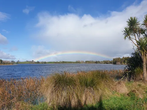 2023 Best Trails, Walks, and Paths in Taupiri | AllTrails