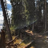 Storm Point Loop, Montana - 1,000 Reviews, Map | AllTrails