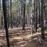 Silver Run Loop Trail, Montana - 546 Reviews, Map | AllTrails