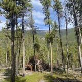 Silver Run Loop Trail, Montana - 546 Reviews, Map | AllTrails