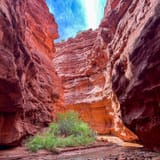 Professor Creek and Mary Jane Canyon Trail, Utah - 969 Reviews, Map ...