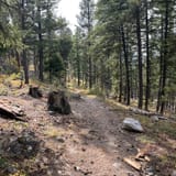 Lake Como Loop Trail, Montana - 479 Reviews, Map | AllTrails