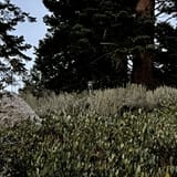 Matterhorn Peak, California - 224 Reviews, Map | AllTrails