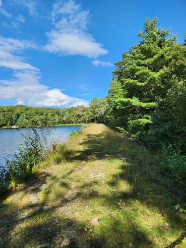 Best Hikes and Trails in Sutton State Forest | AllTrails