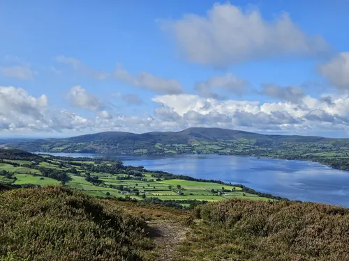 2023 Best Walking Trails in Portroe | AllTrails