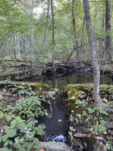 Best Walking Trails in Methuen | AllTrails