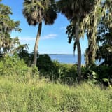 Sabal Bluff Preserve Loop, Florida - 41 Reviews, Map | AllTrails