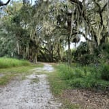 Sabal Bluff Preserve Loop, Florida - 41 Reviews, Map | AllTrails