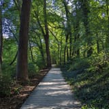 Brecknock County Park Dunbar Trail, Delaware - 277 Reviews, Map | AllTrails