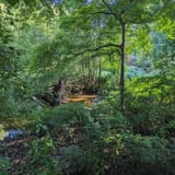 Brecknock County Park Dunbar Trail, Delaware - 277 Reviews, Map | AllTrails