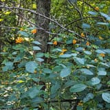 Brecknock County Park Dunbar Trail, Delaware - 277 Reviews, Map | AllTrails