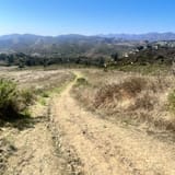 Ocean Overlook Loop, California - 942 Reviews, Map | AllTrails