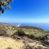 Ocean Overlook Loop, California - 942 Reviews, Map | AllTrails