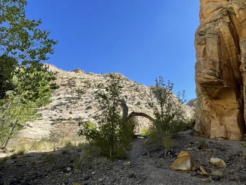 Best Hikes and Trails in Box-Death Hollow Wilderness | AllTrails