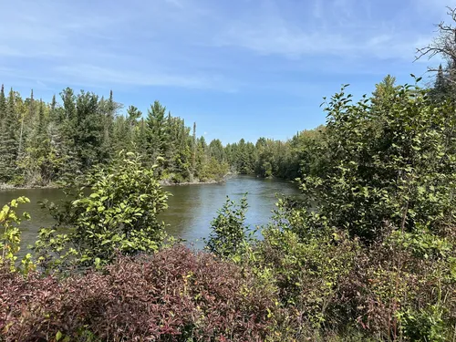 10 Best Hikes and Trails in Huron National Forest | AllTrails