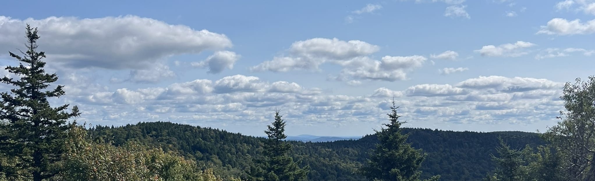 Mount Sunapee Summit Trail, New Hampshire - 694 Reviews, Map | AllTrails