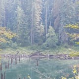 Spider Lake Trail, Washington - 240 Reviews, Map | AllTrails