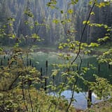 Spider Lake Trail, Washington - 240 Reviews, Map | AllTrails