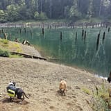 Spider Lake Trail, Washington - 240 Reviews, Map | AllTrails