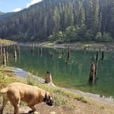 Spider Lake Trail, Washington - 240 Reviews, Map | AllTrails