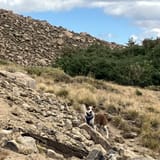 Butler Gulch Trail, Colorado - 2,490 Reviews, Map | AllTrails