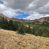 Butler Gulch Trail, Colorado - 2,490 Reviews, Map | AllTrails