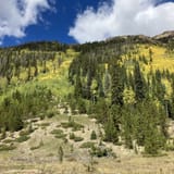 Butler Gulch Trail, Colorado - 2,490 Reviews, Map | AllTrails