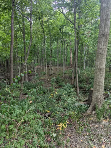 Best Hikes and Trails in Mounds State Park | AllTrails