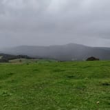 Long Gully Track Loop, Victoria, Australia - 58 Reviews, Map | AllTrails