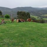 Long Gully Track Loop, Victoria, Australia - 58 Reviews, Map | AllTrails