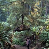 Berry Glen and Lady Bird Grove Trail , California - 390 Reviews, Map ...