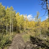 Heart Creek Trail, Alberta, Canada - 3,295 Reviews, Map | AllTrails