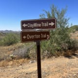 Clay Mine Trail, Arizona - 416 Reviews, Map | AllTrails