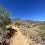 Clay Mine Trail, Arizona - 416 Reviews, Map | AllTrails
