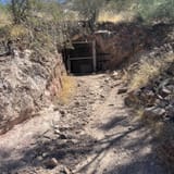 Clay Mine Trail, Arizona - 416 Reviews, Map | AllTrails