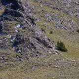 Music Pass Trail, Colorado - 197 Reviews, Map | AllTrails