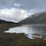 Slaughter Ridge Trail, Alaska - 897 Reviews, Map | AllTrails