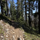 Mount Bailey Trail, Oregon - 311 Reviews, Map | AllTrails