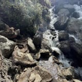 Thomas Trail Loop, Colorado - 1,002 Reviews, Map | AllTrails