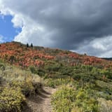 Freemason and Lost Prospector Trail Loop, Utah - 305 Reviews, Map ...