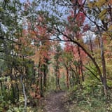 Freemason and Lost Prospector Trail Loop, Utah - 305 Reviews, Map ...