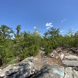 Whitestone Cliffs Trail, Connecticut - 572 Reviews, Map | AllTrails