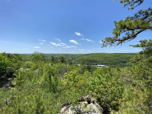 Best Hikes and Trails in Mattatuck State Forest | AllTrails