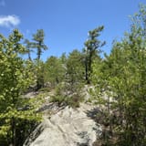 Whitestone Cliffs Trail, Connecticut - 572 Reviews, Map | AllTrails