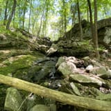 Whitestone Cliffs Trail, Connecticut - 572 Reviews, Map | AllTrails