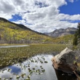 Cub Lake Trail, Colorado - 1,327 Reviews, Map | AllTrails