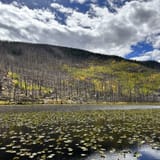Cub Lake Trail, Colorado - 1,327 Reviews, Map | AllTrails
